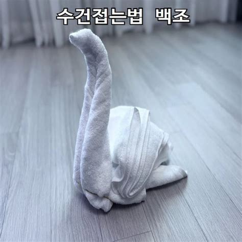 호텔침구 구스이불 [호레카클레식스] 호텔수건 디자인접기 4탄 백조 🦢입니다 우아한 모양으로 객실에 비치하면 보다 고급스런