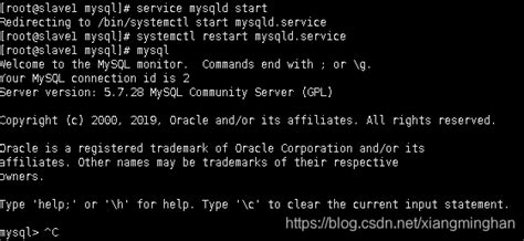 启动mysql时报错redirecting to bin systemctl start rvice csdn博客