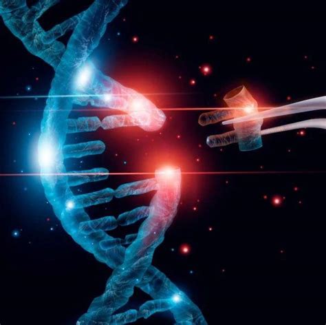 Nbt背靠背：中美学者各自开发新型双碱基编辑器，同时实现两种单碱基编辑 知乎
