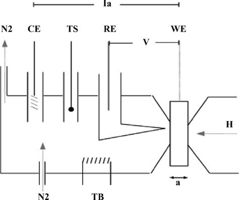 Electrochemical Cell For Permeation Tests H Detection Compartment Download Scientific Diagram