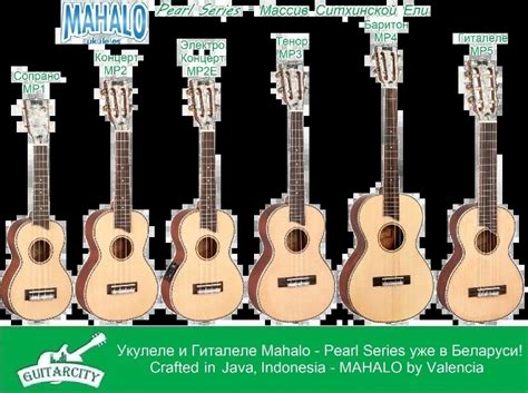 Укулеле купить в Минске. Бесплатная доставка по Беларуси – GuitarCity.by
