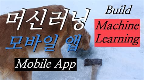 5종 신기 神器 머신러닝 모바일 앱 5종 따라 만들기 Tensorflow Lite 모델 이용 Flutter Mri 사진