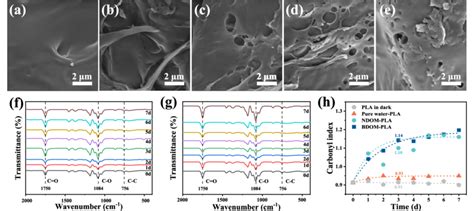 Scanning Electron Microscope Images A E Of Pristine Polylactic Acid Download Scientific