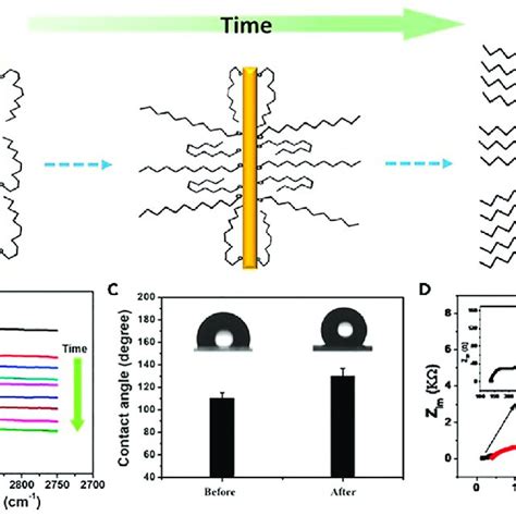 Schematic Illustration And Characterizations Of The Self Assembly