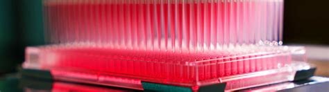 High Throughput Screening Nexus Personalized Health Technologies Eth Zurich