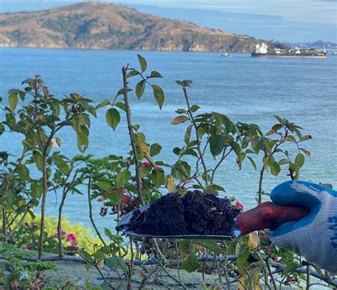 A Way With Worms What To Know About Vermicomposting