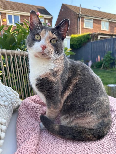 Lisa Allison Lisajallison On Threads