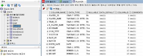 오라클 Sql 파일 등록 Sqld 실습 Soccersql파일