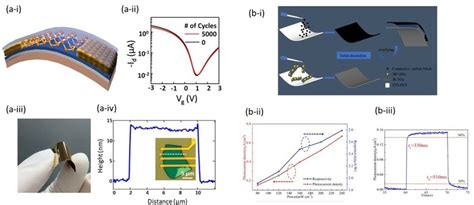 A Flexible BP FETs On Flexible PI Substrate I Schematic Download Scientific Diagram