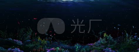 海底珊瑚发光鱼群4000x1500高清视频素材下载编号6608054舞台背景vj师网