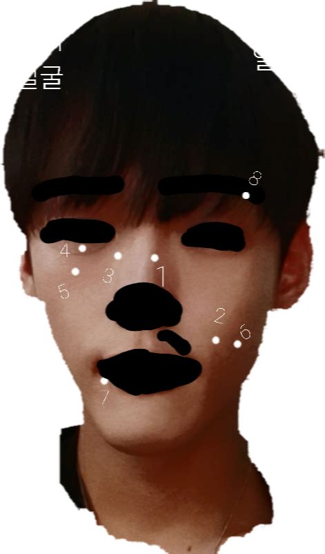 얼굴의 점 관상 지식in