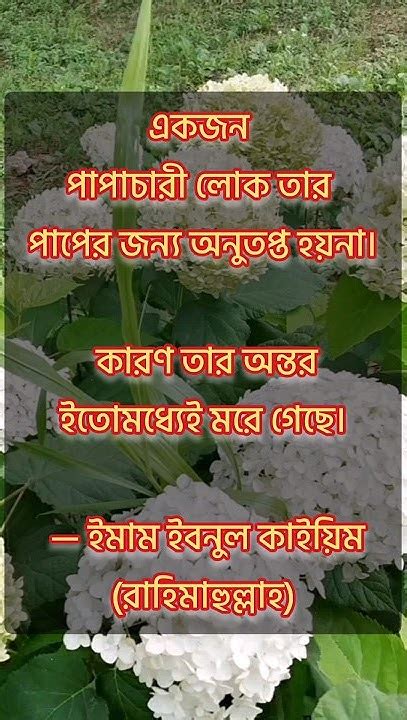 একজন পাপাচারী লোক তার পাপের জন্য অনুতপ্ত হয়না। কারণ তার অন্তর