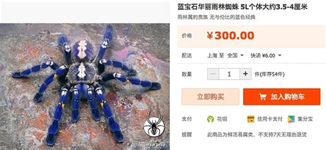 A David Bickham Sex Doll An Imaginary Girlfriend Or A Live Fox For 313 The Weird And Er