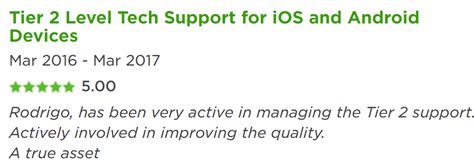 Rodrigo Mansueli Msc Machine Learning Computer Engineer Tech Support Specialist Volunteer