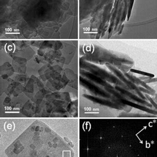 SEM Images Of A B LMP N And C D LMP S Download Scientific Diagram
