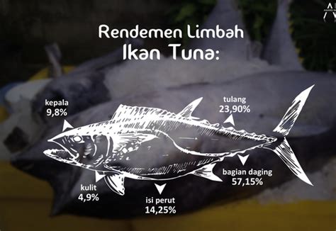 Kandungan Gizi Dan 10 Manfaat Ikan Tuna Bagi Kesehatan