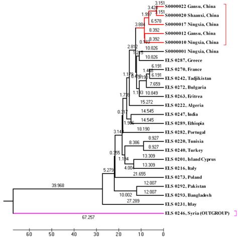 Upgma Dendrogram Of 24 Germplasm Resources Download Scientific Diagram
