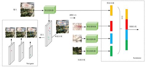 菊花细粒度识别——nts net模型详解 朱林刚的博客
