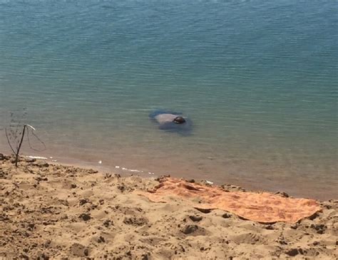 Восемь калужан утонули на прошедших выходных