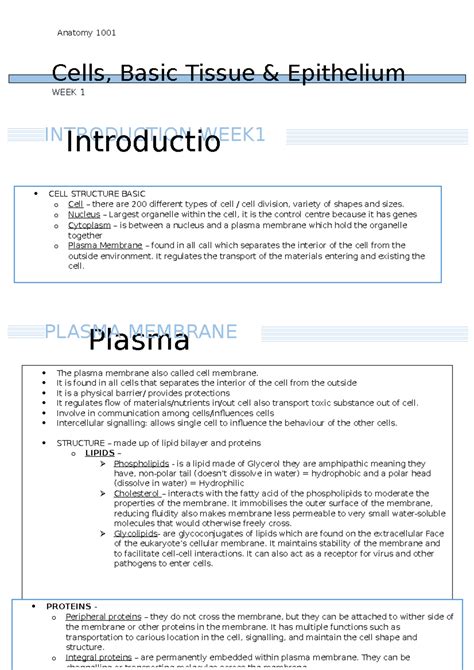 Week 1 Week 1 Lecture Notes By Me Cells Basic Tissue