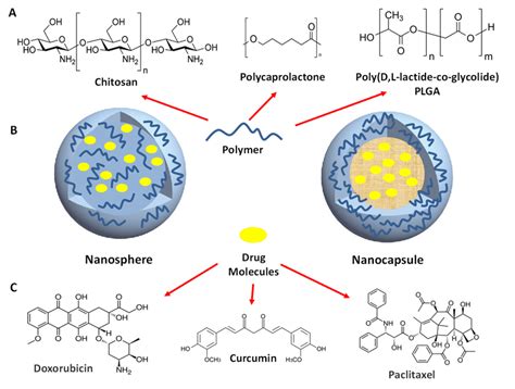 Example Of Some Of The Main Polymer Building Blocks A Employed For
