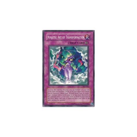 Ninjitsu Art Of Transformation Common Unlimited Edition Ai Fest