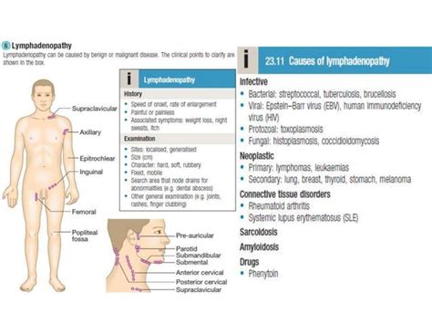 Lab Tests In Hematology Pptx