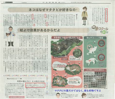 マラリアを媒介する蚊「ハマダラカ」 猫にマタタビ。その理由は、蚊よけ♬