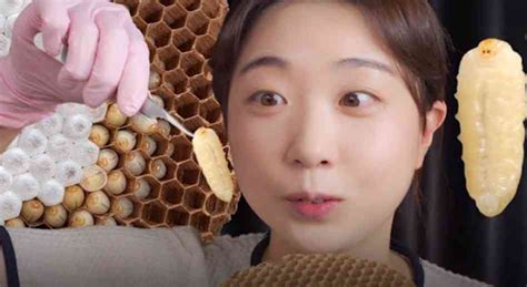 양 뇌 말벌 애벌레 이어 멸종위기 밍크고래까지 먹방한 유튜버 비난 폭주에 결국 영상 삭제 논란