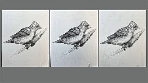 How To Draw A Border For Beginners Longstride Illustration