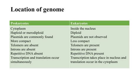 Difference Between Eukaryotic And Prokaryotic Genome PPT