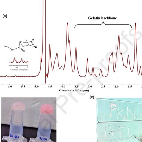 Characterization Of Modified Gelatin And Injectability Of Hydrogels Download Scientific