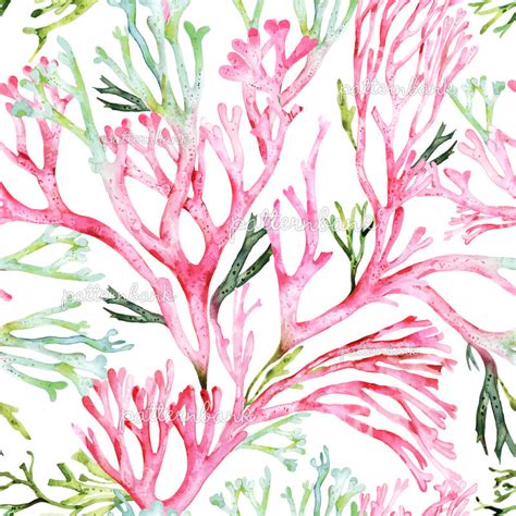 Seaweed Pattern Design By Exquisite Prints Seamless Repeat Royalty Free Stock Pattern Patternbank