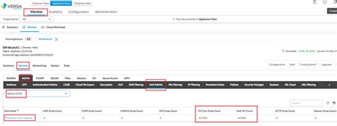 Configure DDOS Protection Academy Versa Networks
