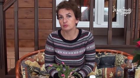 Как выращивать декабрист Сайт Садовый мир Youtube
