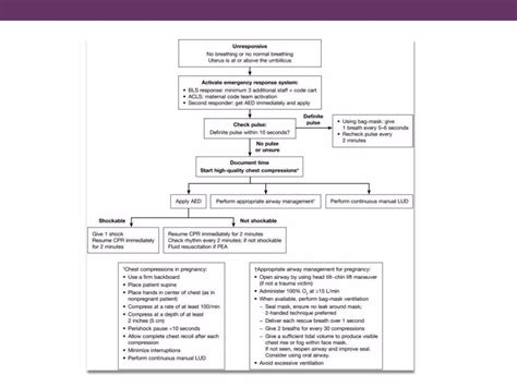 Maternal Cardiac Arrest English Pptx