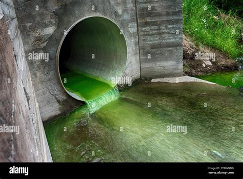 Bright Green Polluted Effluent Flowing Through A Drainage Pipe Exiting