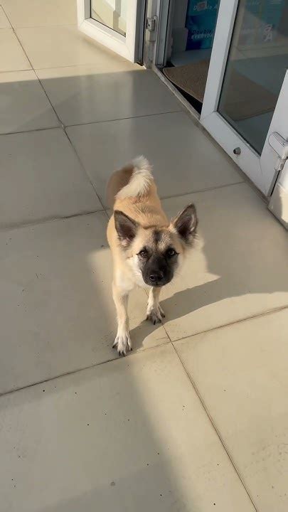 옥상에서 햇빛 쐬기 꼭 해 드는 데 앉아있네 ☀️ Youtube