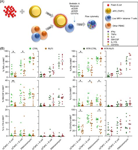 Circulating Mait Cells In Ruti Subjects Have An Increased Activation