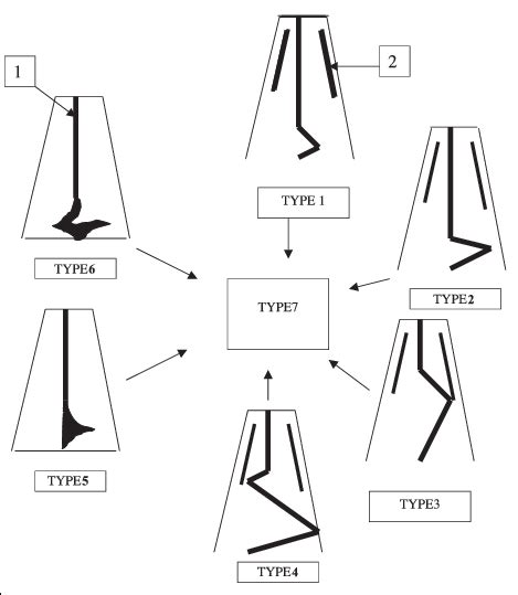 Mladinas Classification Download Scientific Diagram