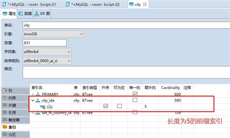 MySQL进阶实战 mysql索引详解上篇 哪吒编程 博客园
