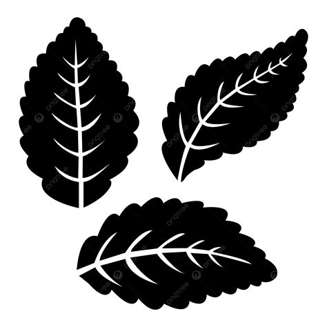 Leaf Silhouette Vector Leaf Silhouette Vector Png And Vector With