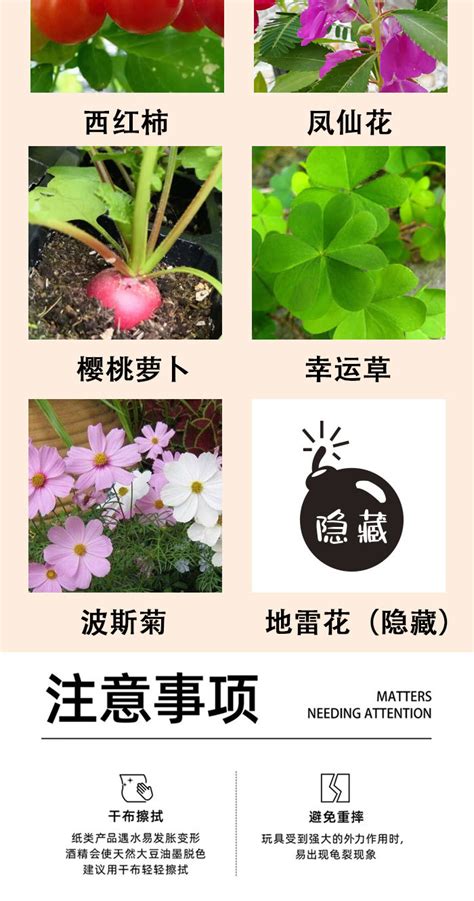 室内儿童种植盆栽盲盒 挖呀挖创意植物diy小盆栽 幼儿园六一礼物 阿里巴巴