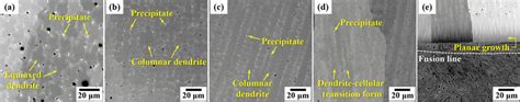 Sem Images With The Position Within Alloy 709 Weld Bead The