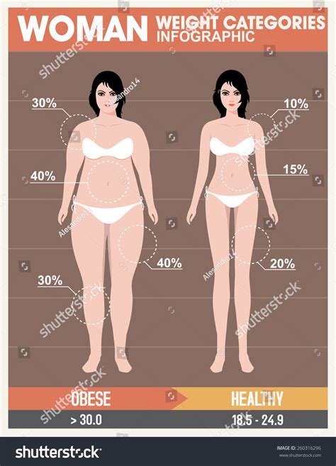 Woman Body Mass Graphics Health Diet Stock Vector Royalty Free