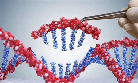 Researchers Discover A Ghost Ancestor In The Human Genome