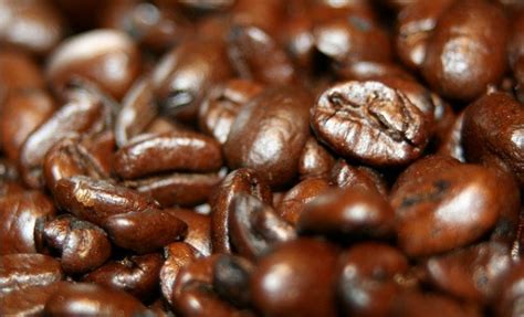 Calgarys Coffee Disloyalty Program Pursuit