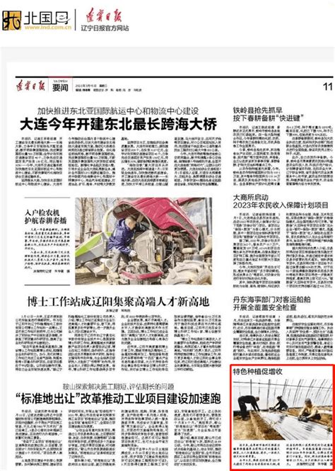 乡村振兴丨特色种植促增收大棚韩家店镇新动力