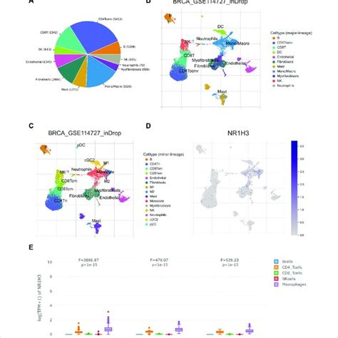Nr1h3 Expression In Tme Related Cells A C The Tme Cell Types And Download Scientific Diagram
