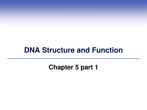 PPT DNA Structure And Function PowerPoint Presentation Free Download ID